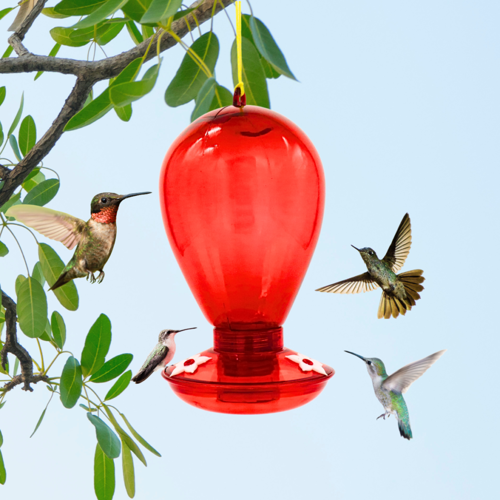 Bebedero Para Colibrí Rojo De 1L - Alba Hogar